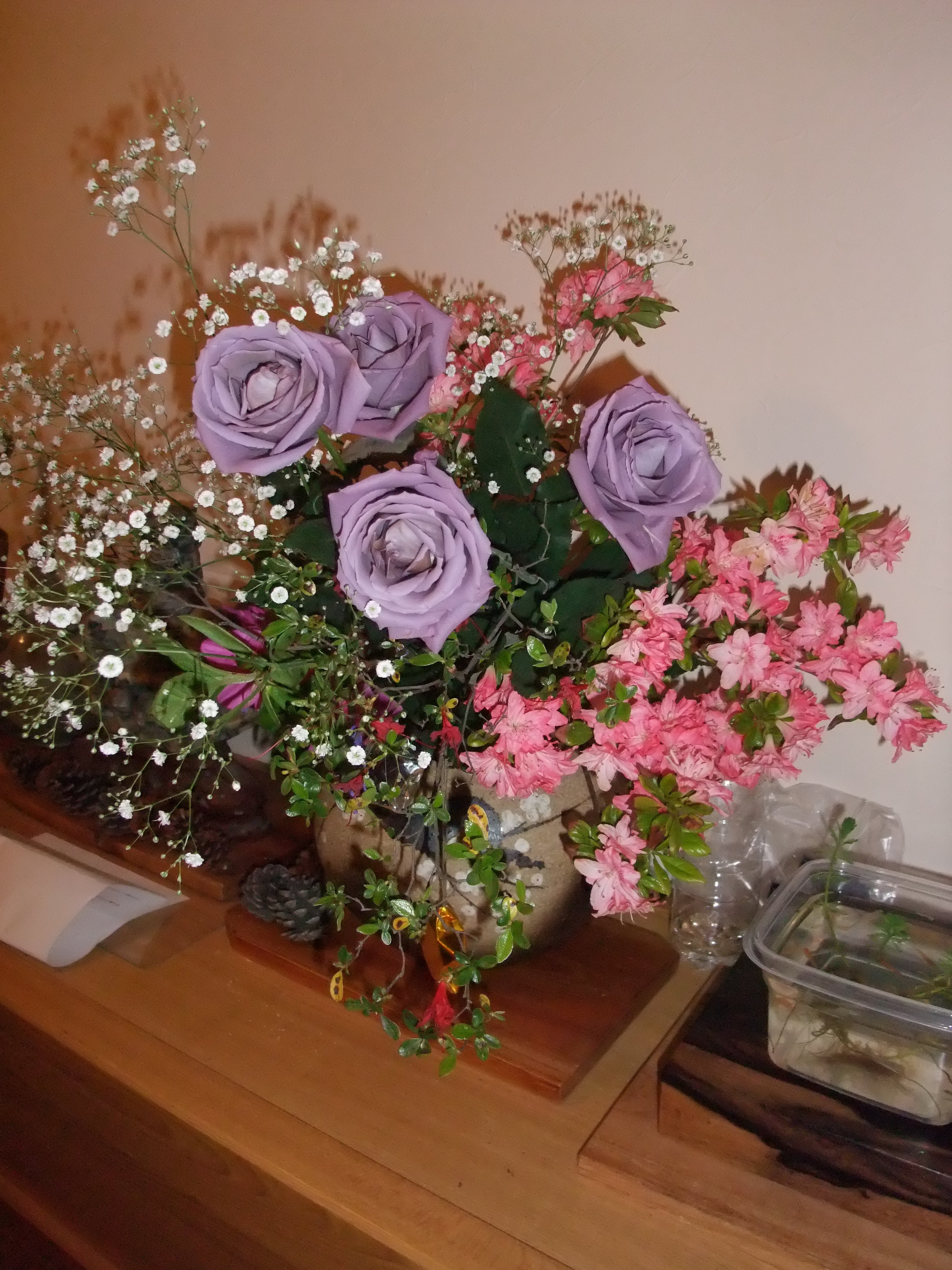 Blue Rose: The Impossible Dream turned Reality – Noctaris